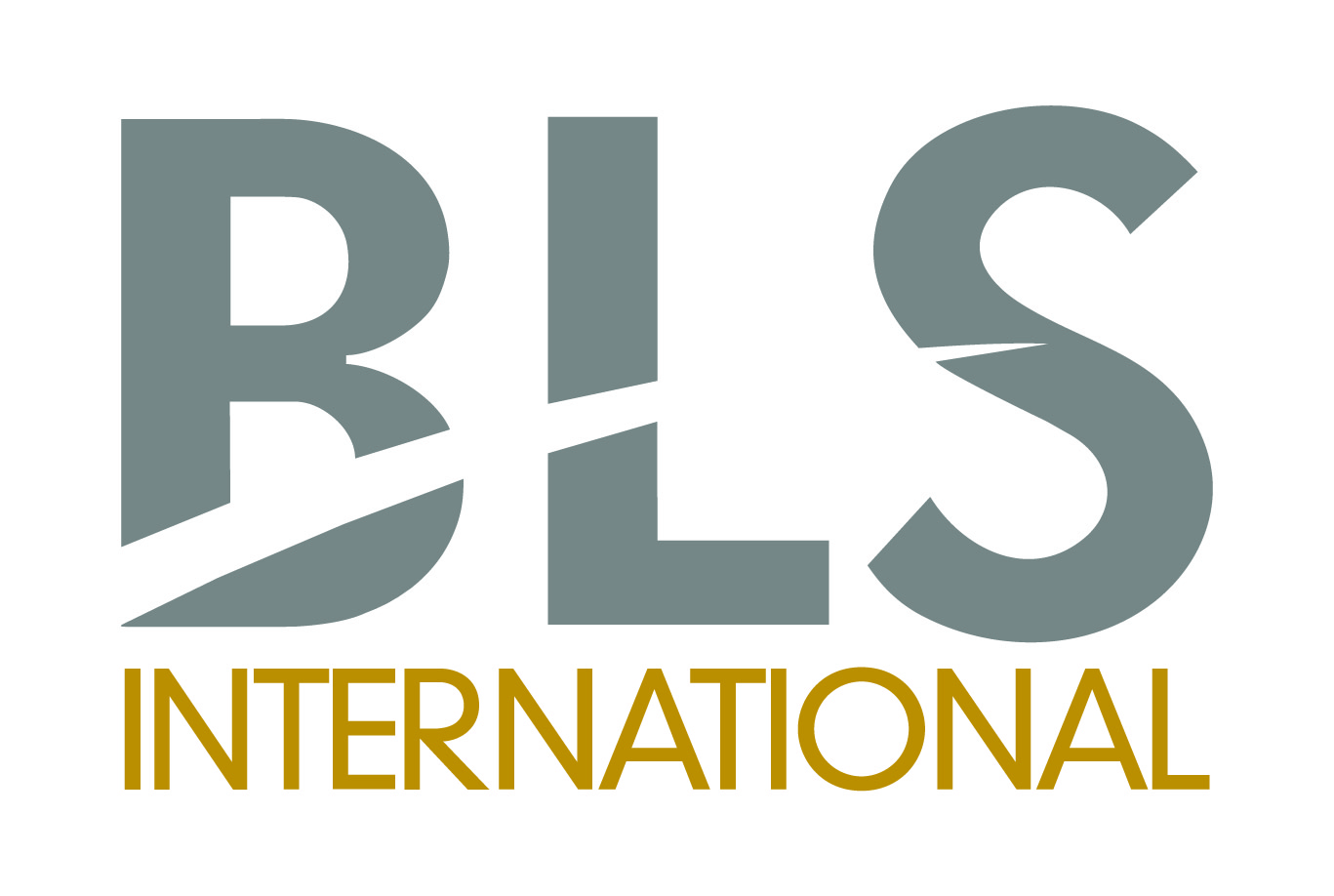 BLS International تعزز التحول الرقمي في خدمات التأشيرات بالمغرب عبر ...